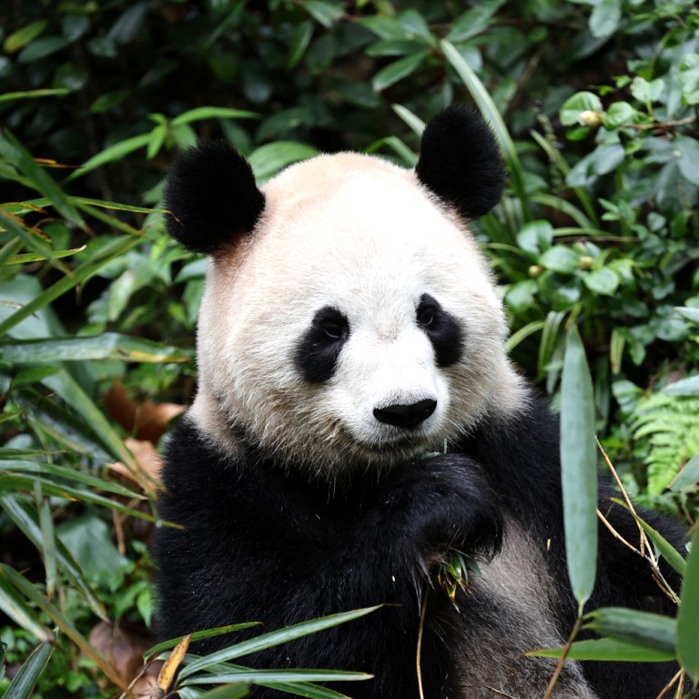 Team – The Jiang Lab